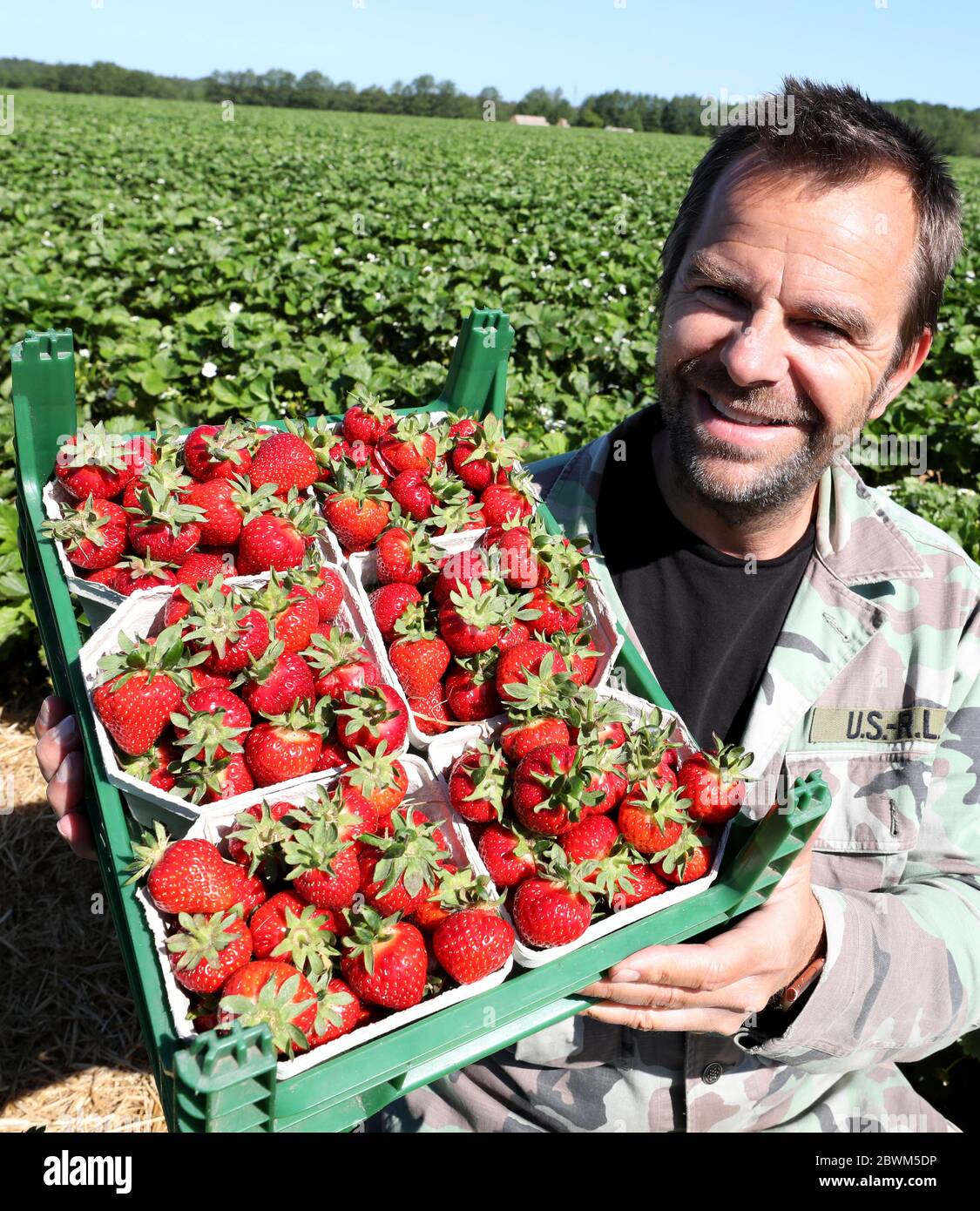 Karls strawberry farm hi-res stock photography and images - Alamy