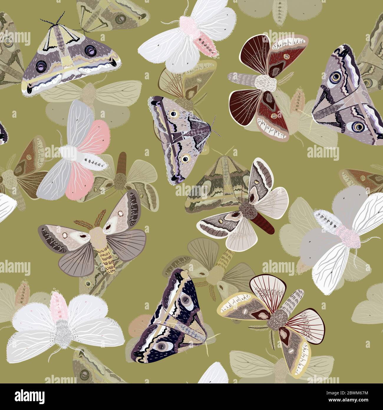 White moths on a sage, moss green color background. Seamless vector ...