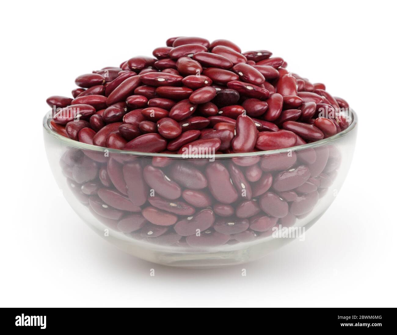 Single Kidney Bean