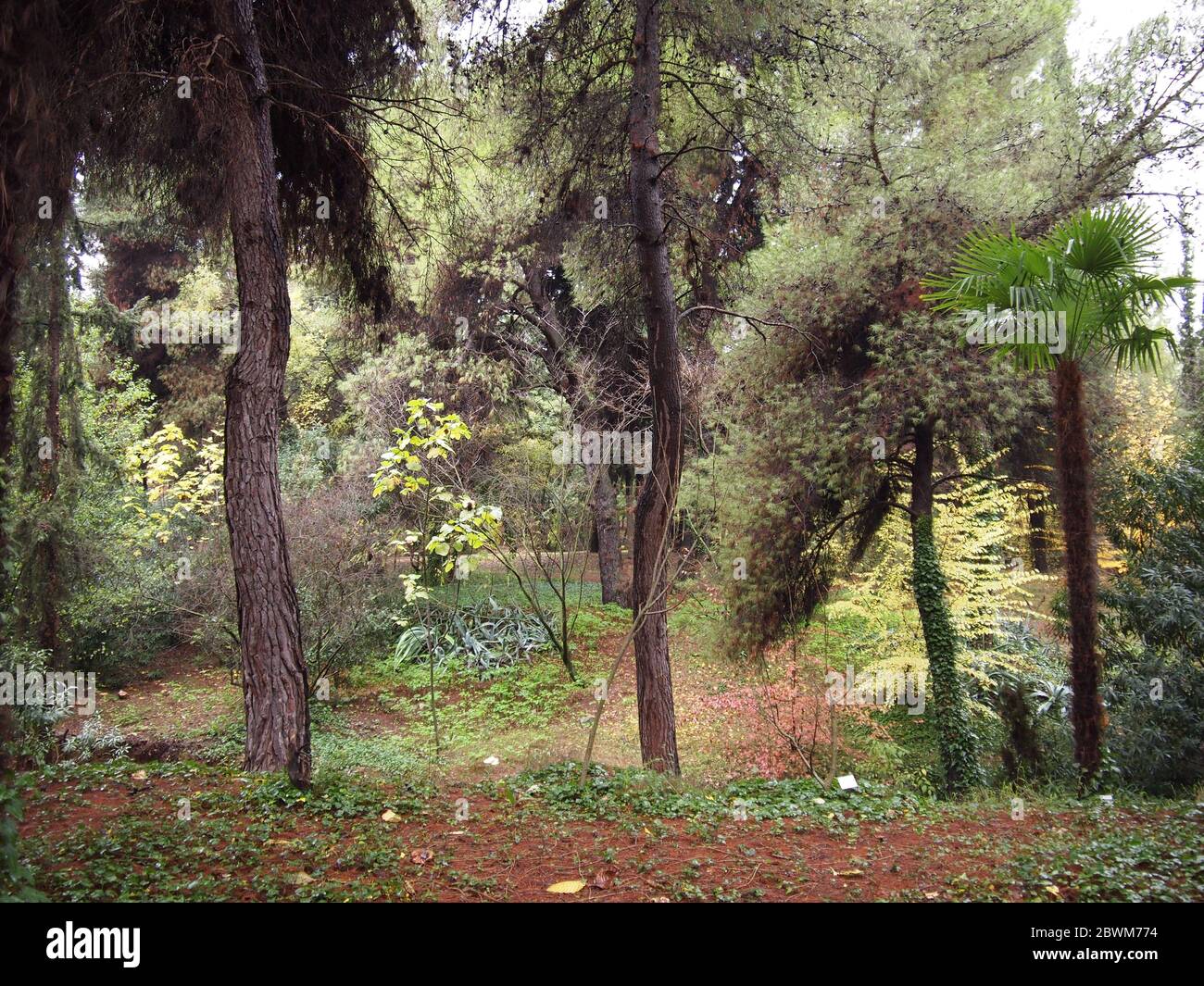 Botanical garden of Athens (Greece Stock Photo - Alamy