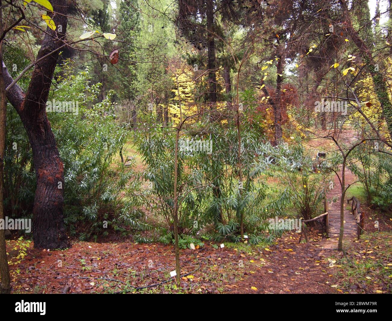 Botanical garden of Athens (Greece Stock Photo - Alamy