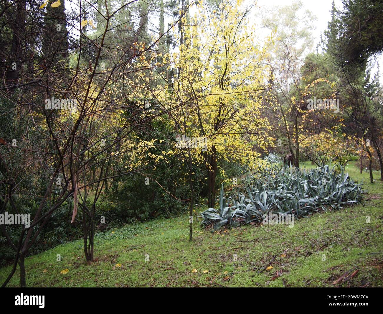 Botanical garden of Athens (Greece Stock Photo - Alamy