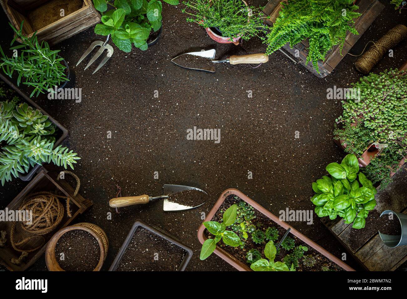 Gardening frame composition Stock Photo - Alamy