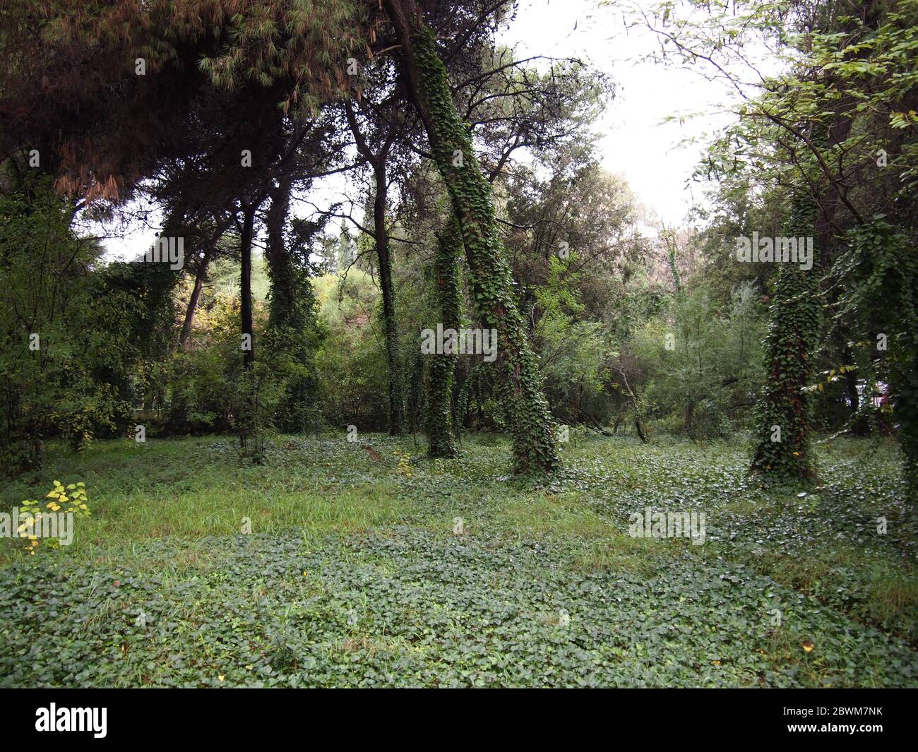 Botanical garden of Athens (Greece Stock Photo - Alamy