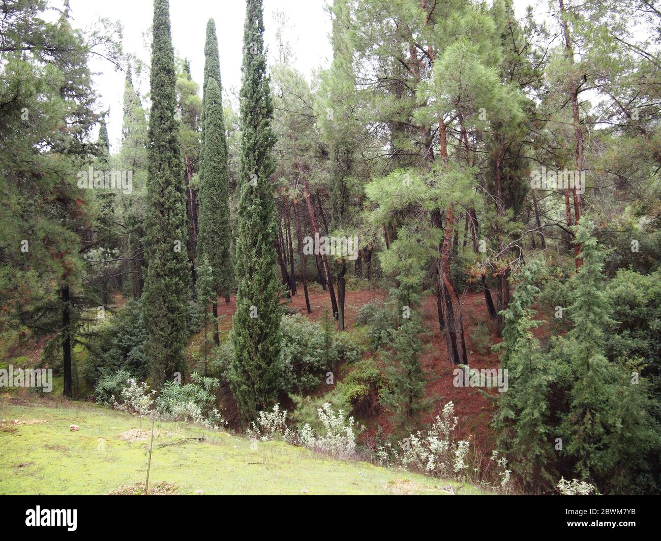 Botanical garden of Athens (Greece Stock Photo - Alamy