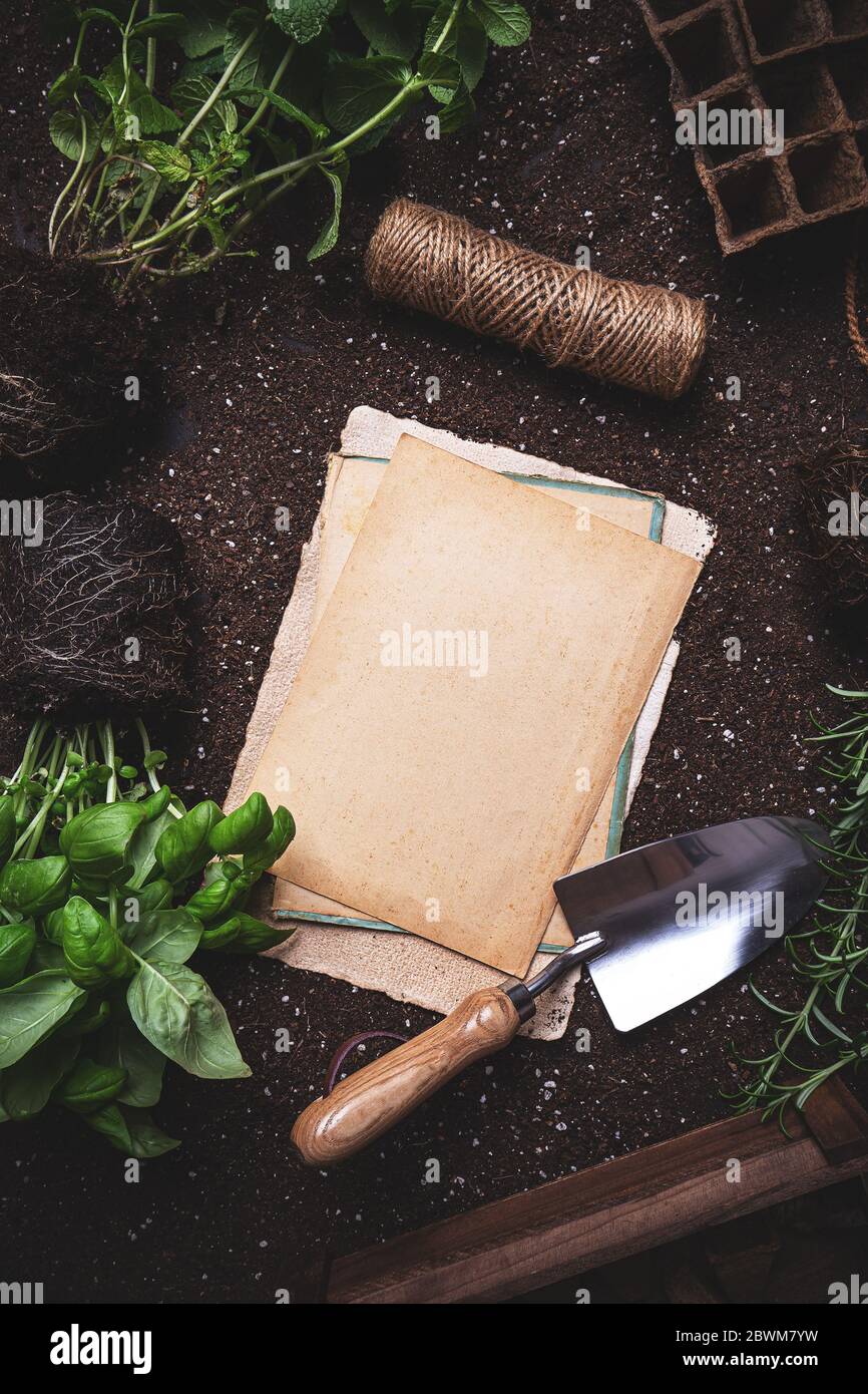 Gardening concept with paper card Stock Photo - Alamy