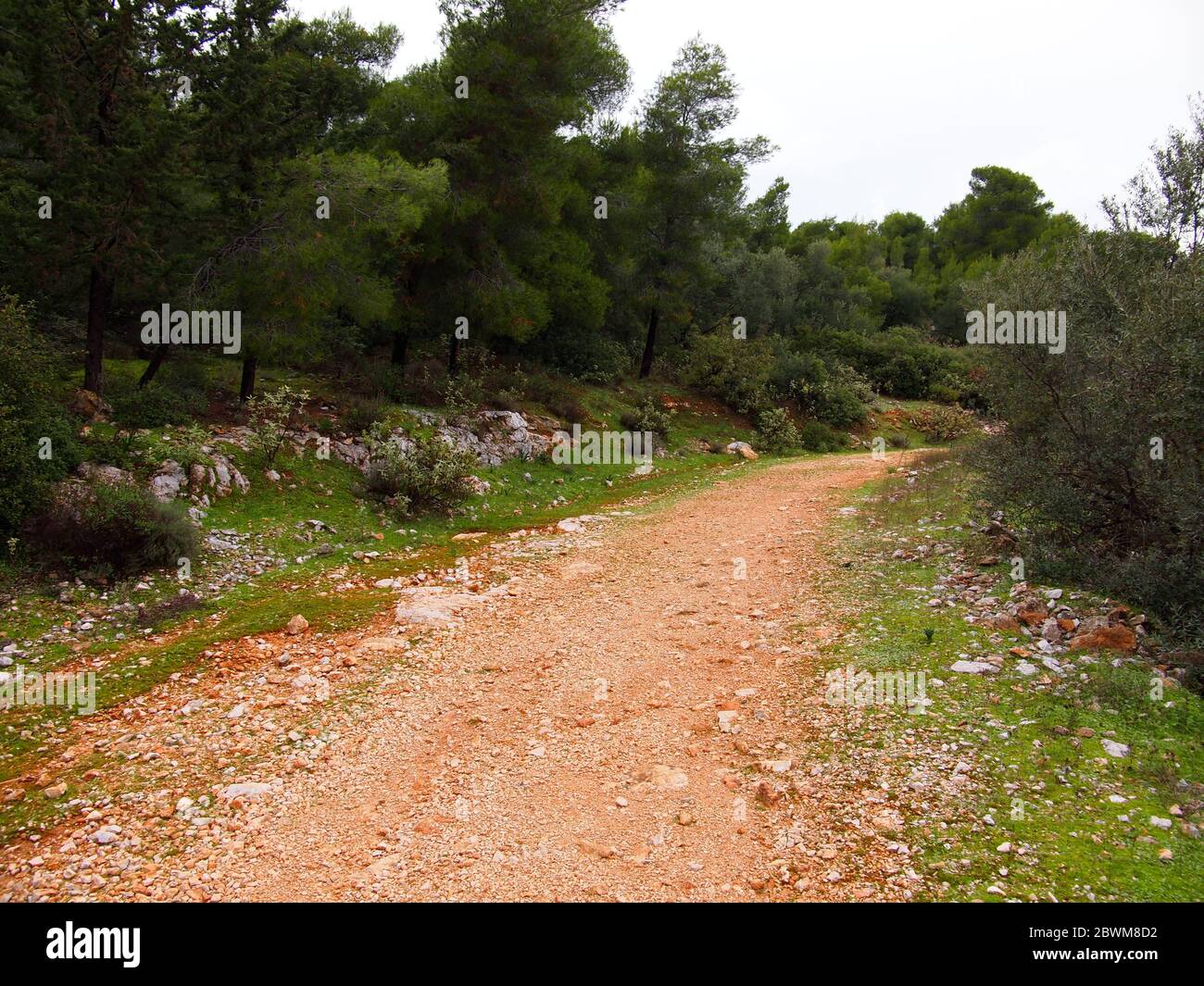 Botanical garden of Athens (Greece Stock Photo - Alamy