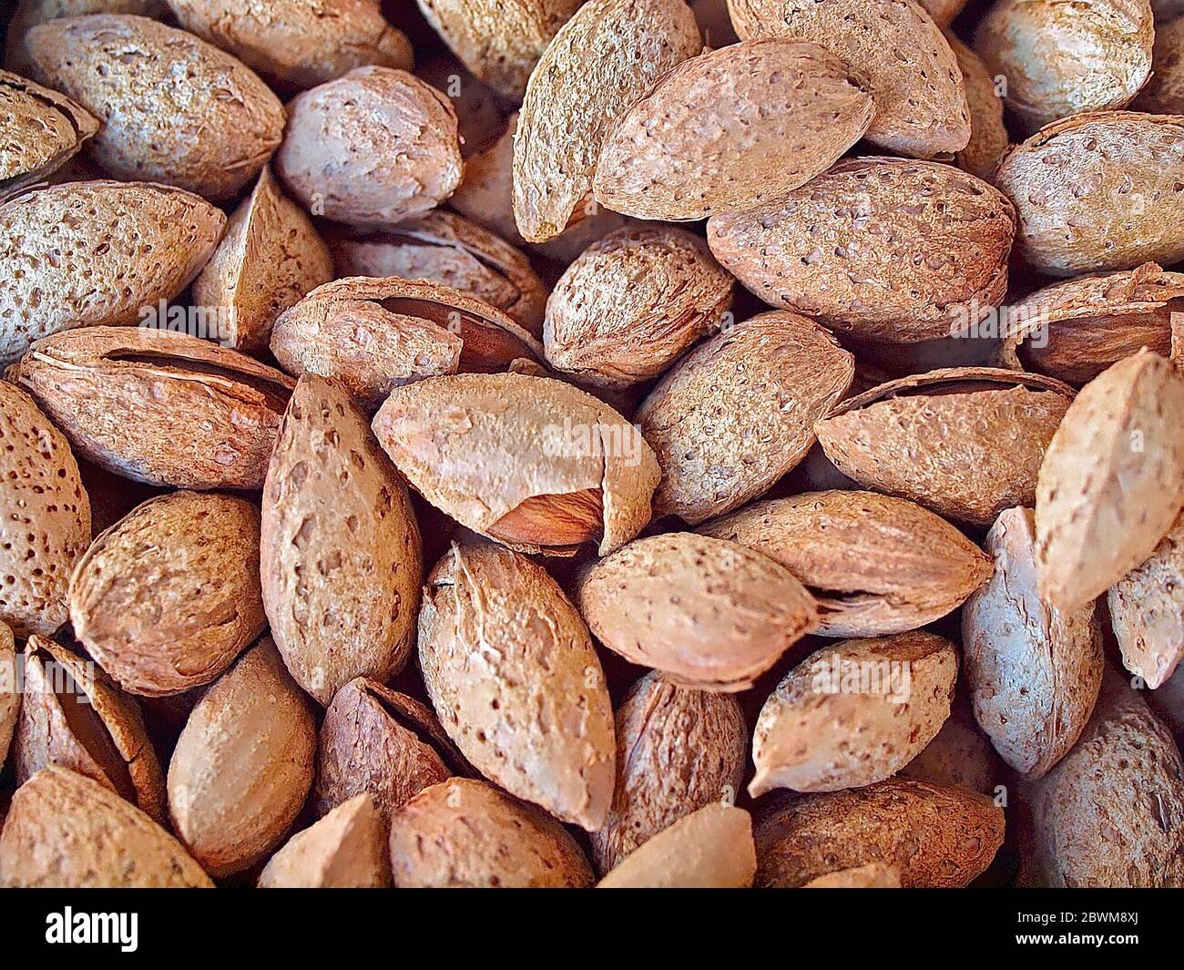 Nutshells hi-res stock photography and images - Alamy