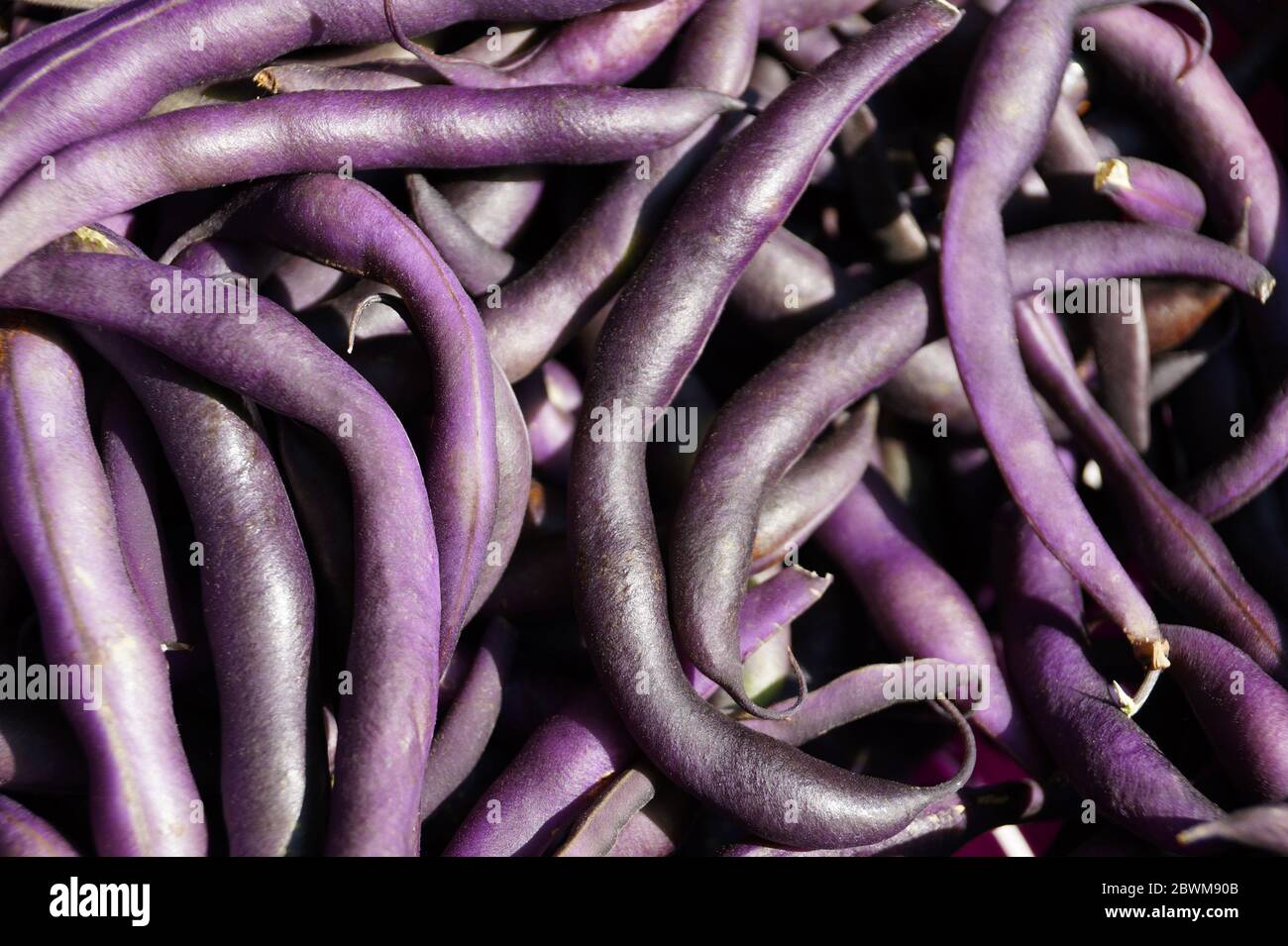 Unusual veggie hi-res stock photography and images - Alamy