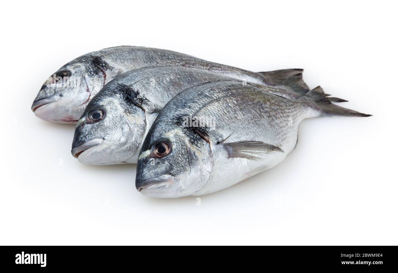 Dorado fish isolated on white background with clipping path Stock Photo ...