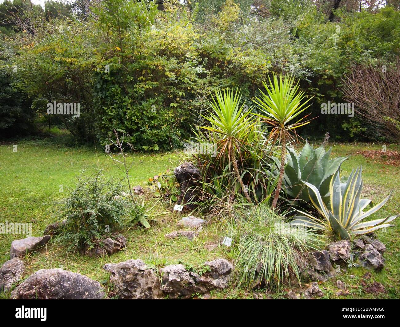 Botanical garden of Athens (Greece Stock Photo - Alamy