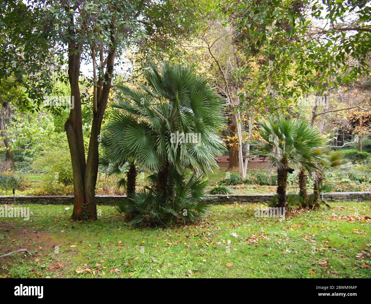 Botanical garden of Athens (Greece Stock Photo - Alamy