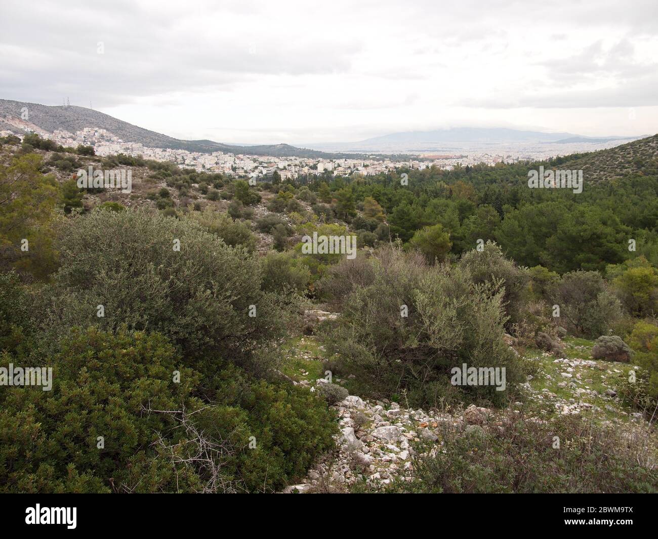 Botanical garden of Athens (Greece Stock Photo - Alamy
