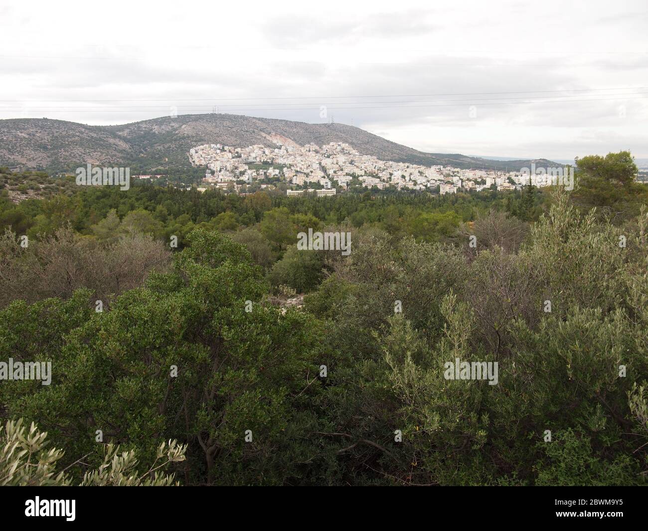 Botanical garden of Athens (Greece Stock Photo - Alamy