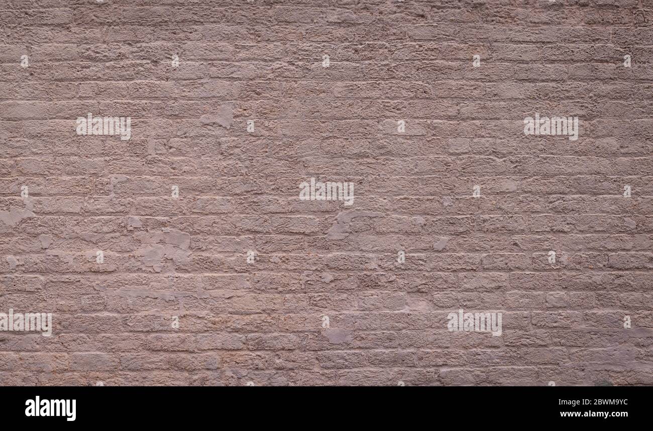 Large panoramic backdrop of painted brick and plaster in subtle warm ...