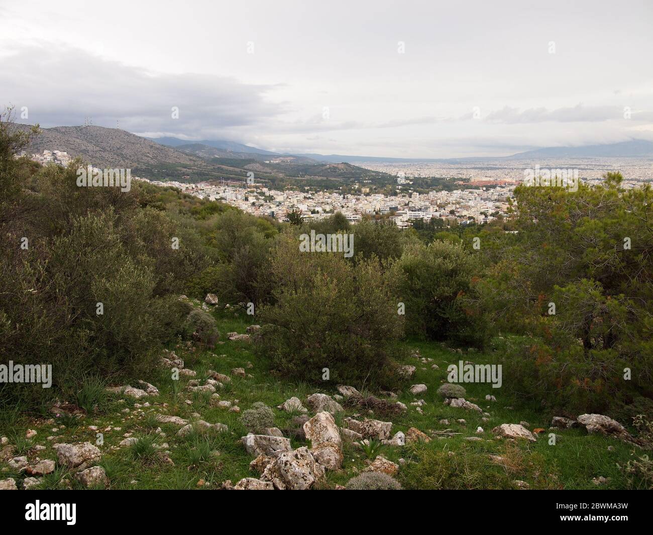 Botanical garden of Athens (Greece Stock Photo - Alamy