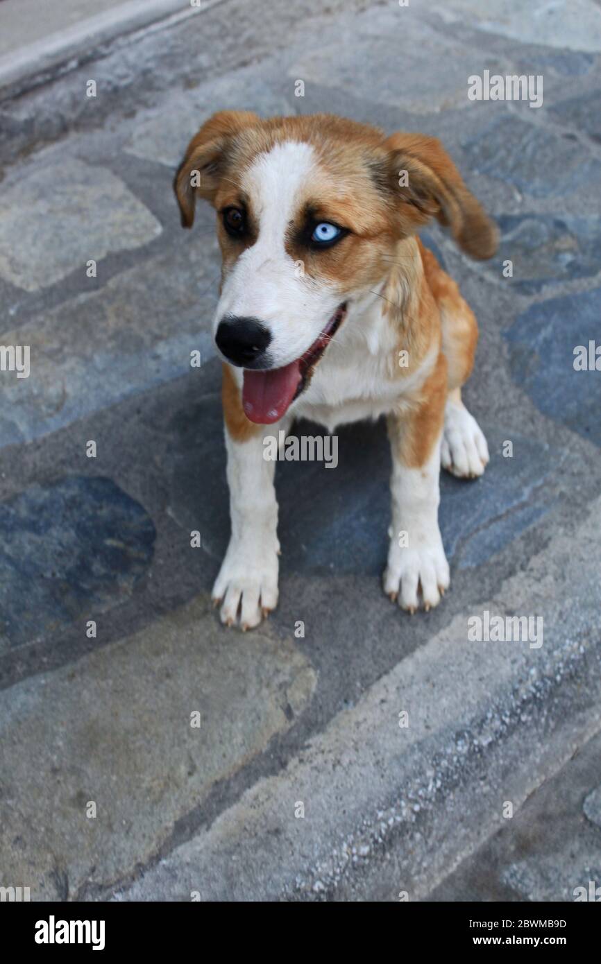 Eye friendly colors hi-res stock photography and images - Alamy