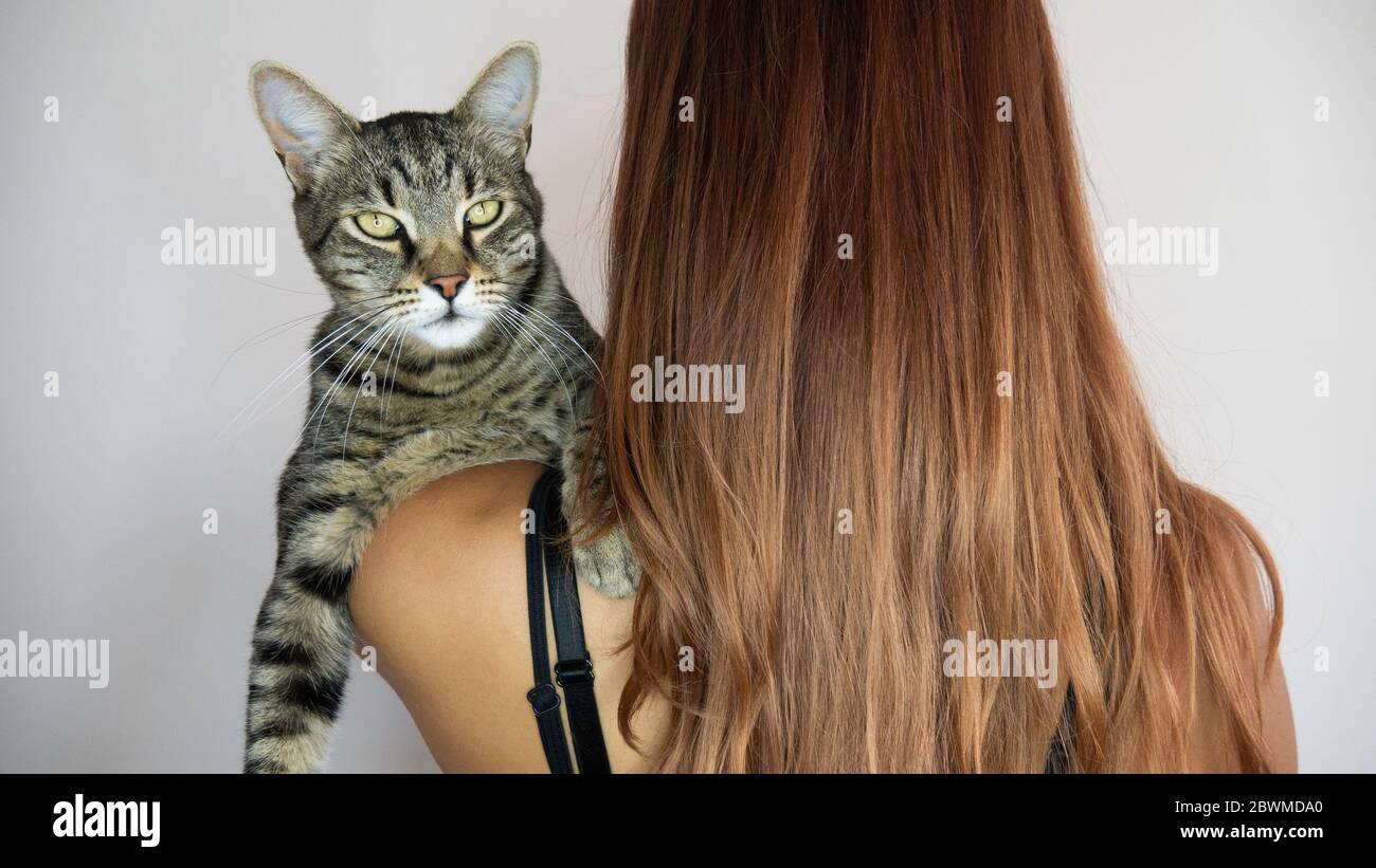 The woman holds the cat over her shoulder. The cat looks straight into ...