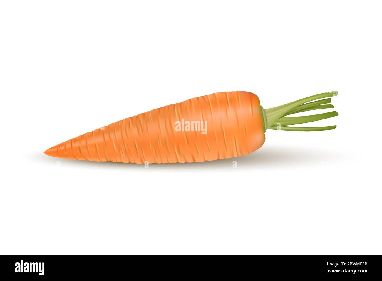 Realistic vector carrot icon isolated on white background. Design ...