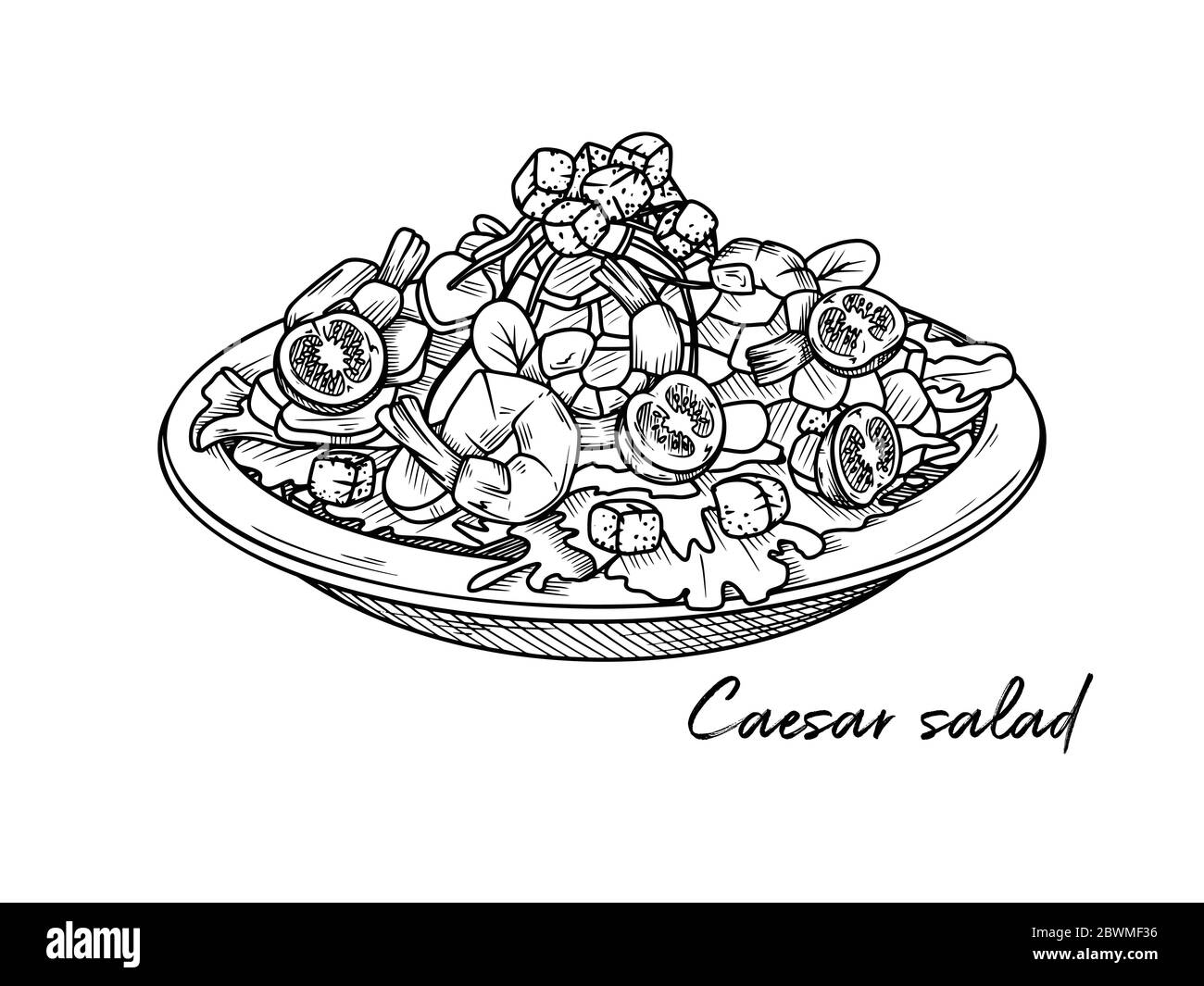 Salad Vector Vectors High Resolution Stock Photography and Images - Alamy