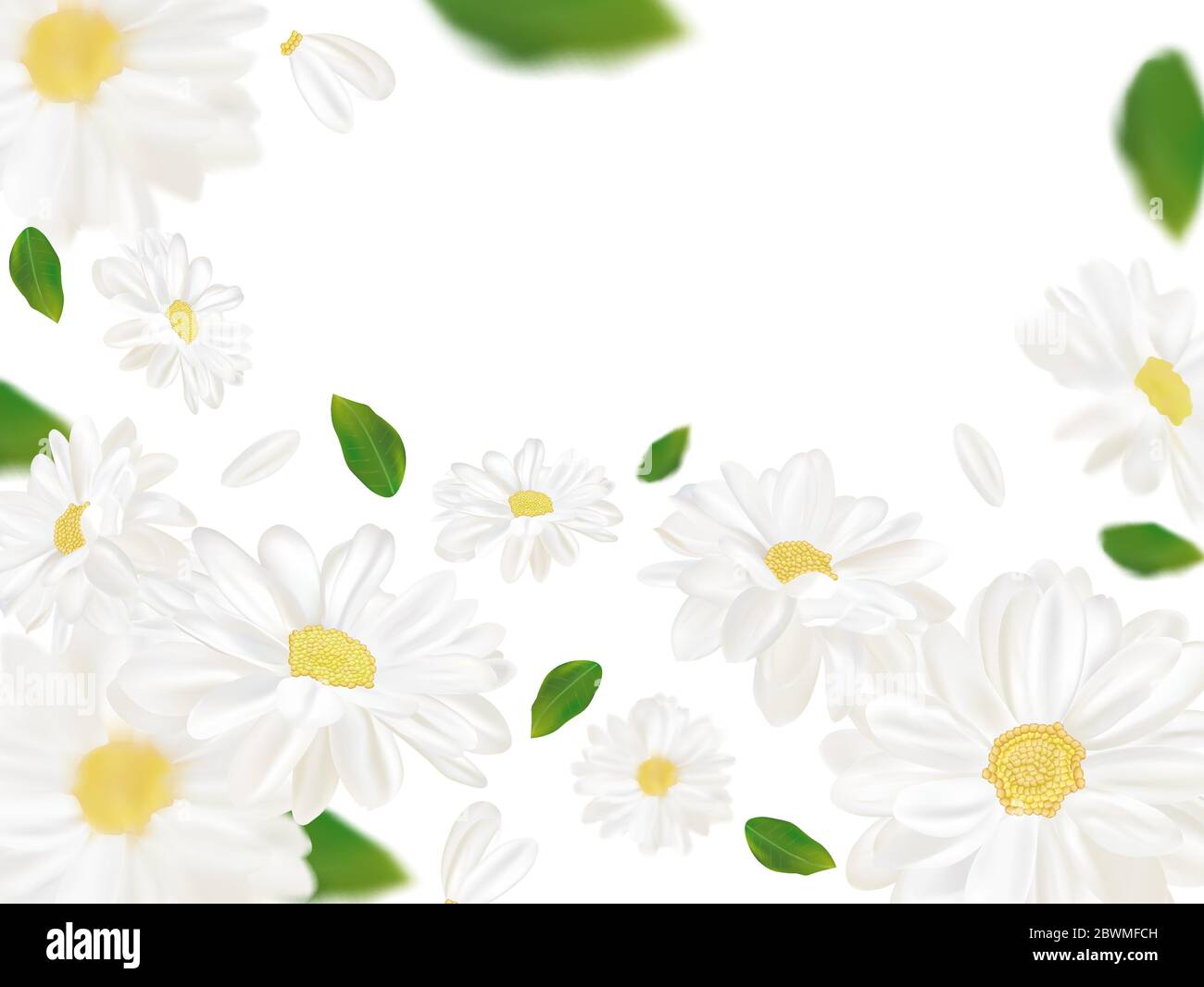 3D realistic chamomile with green leaf. White chamomile in motion ...