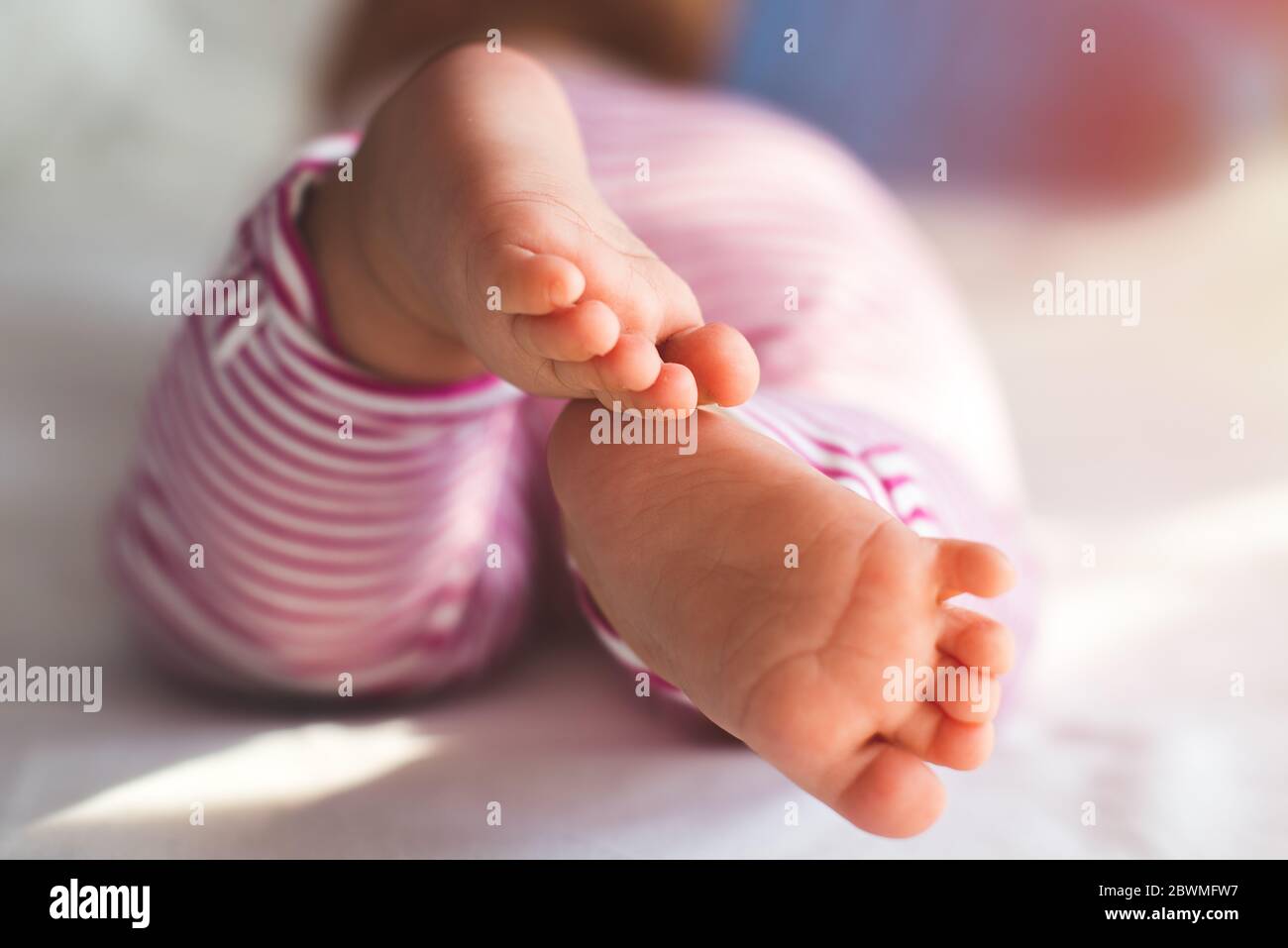 Newborn baby feet from behind Stock Photo - Alamy