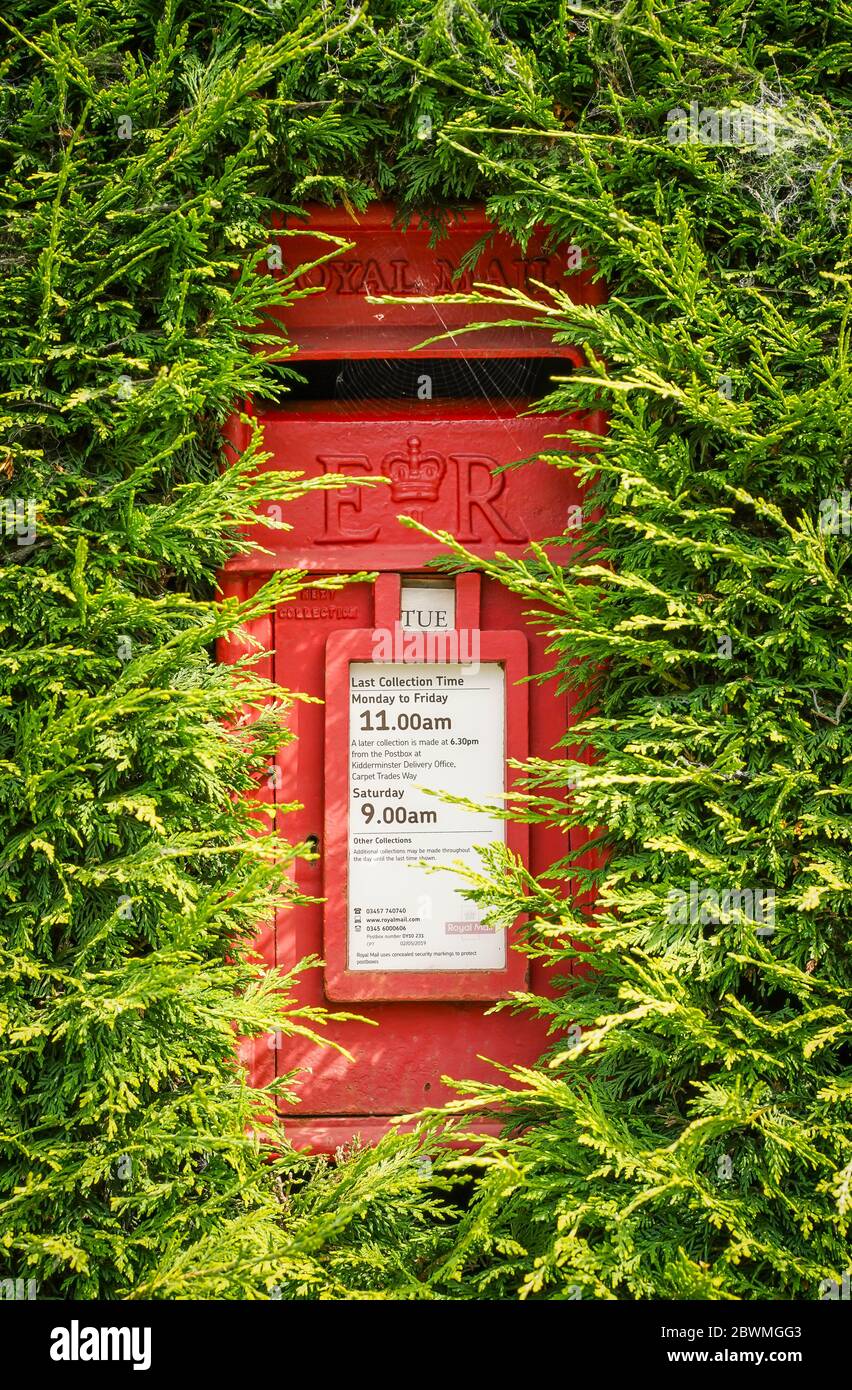 Leylandii hedge hi-res stock photography and images - Alamy