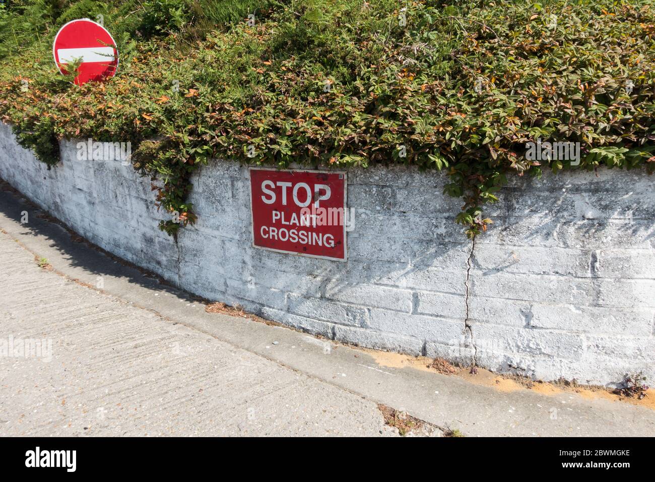 Stop "plant crossing" and no entry warning signs, United Kingdom Stock ...