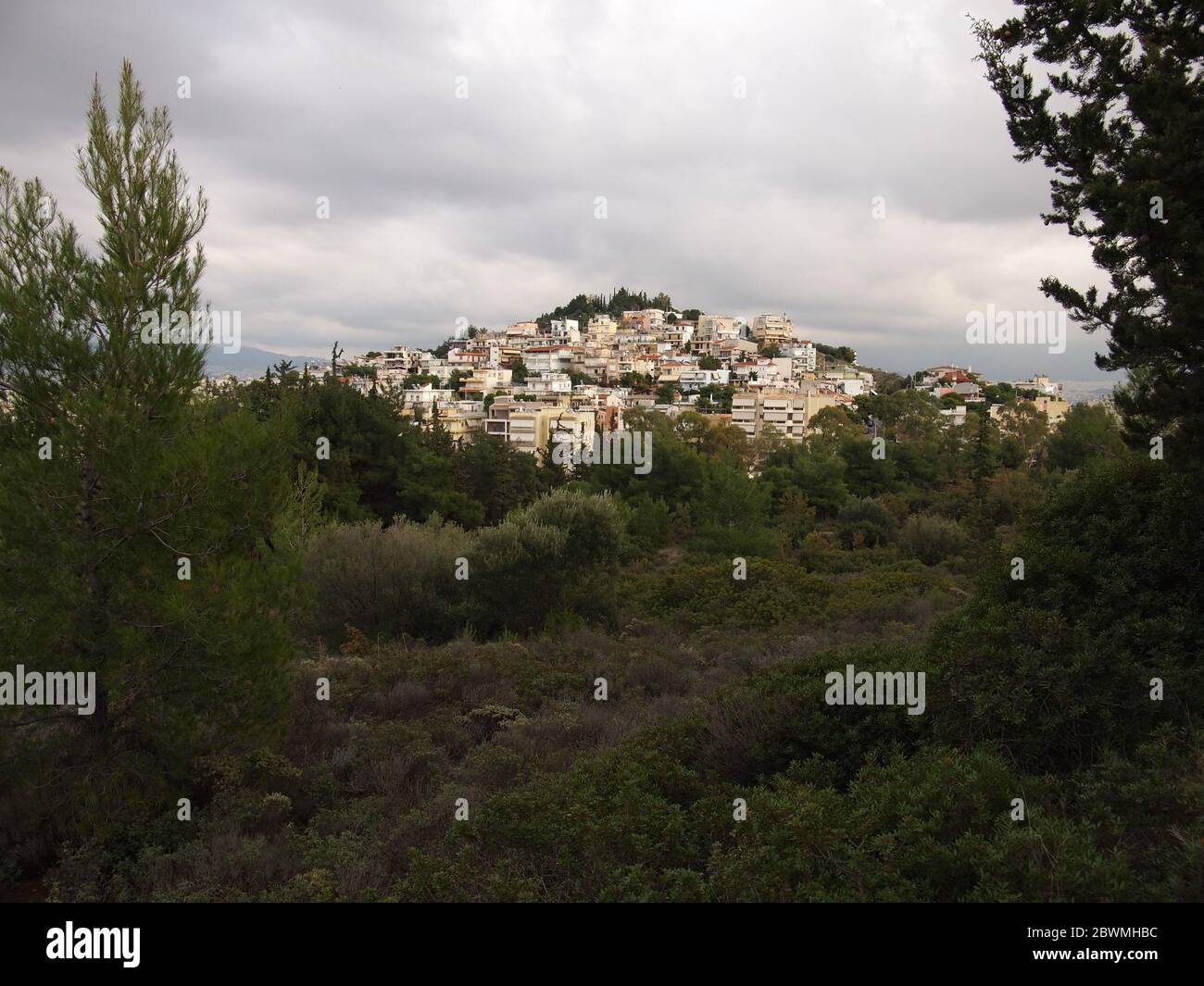 Botanical garden (Athens, Greece Stock Photo - Alamy