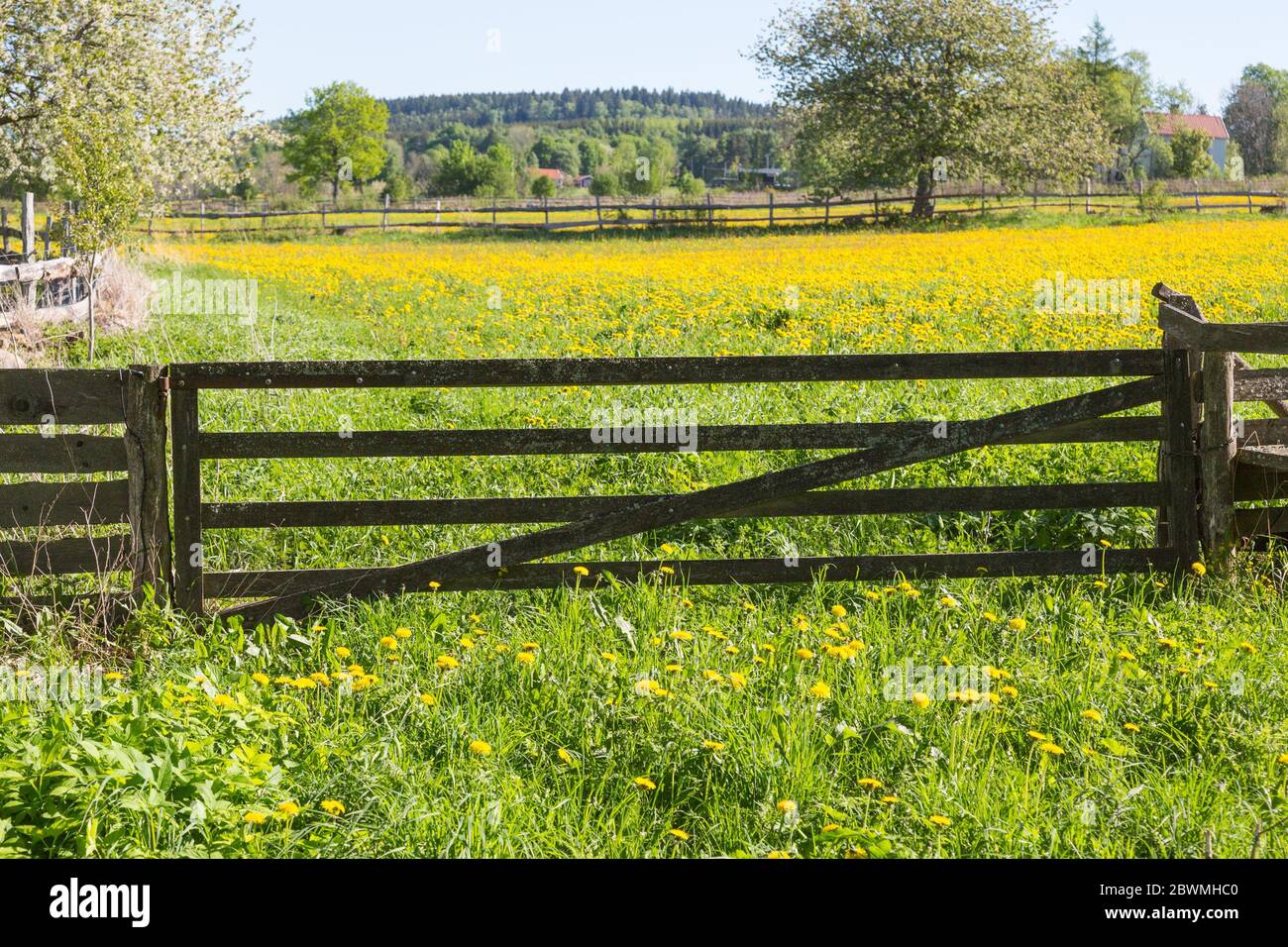Closed gate tree field hi-res stock photography and images - Alamy