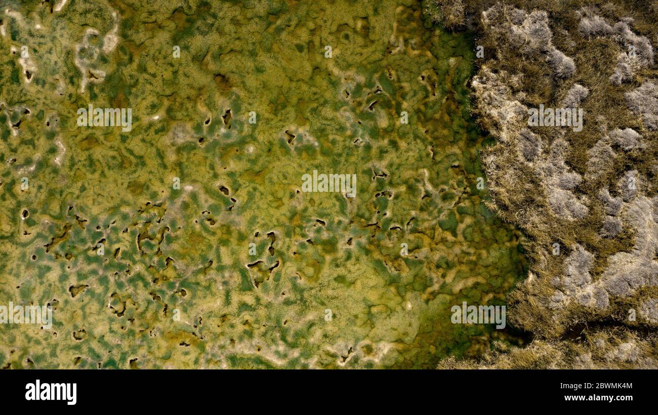 Indigenous art forms hi-res stock photography and images - Alamy