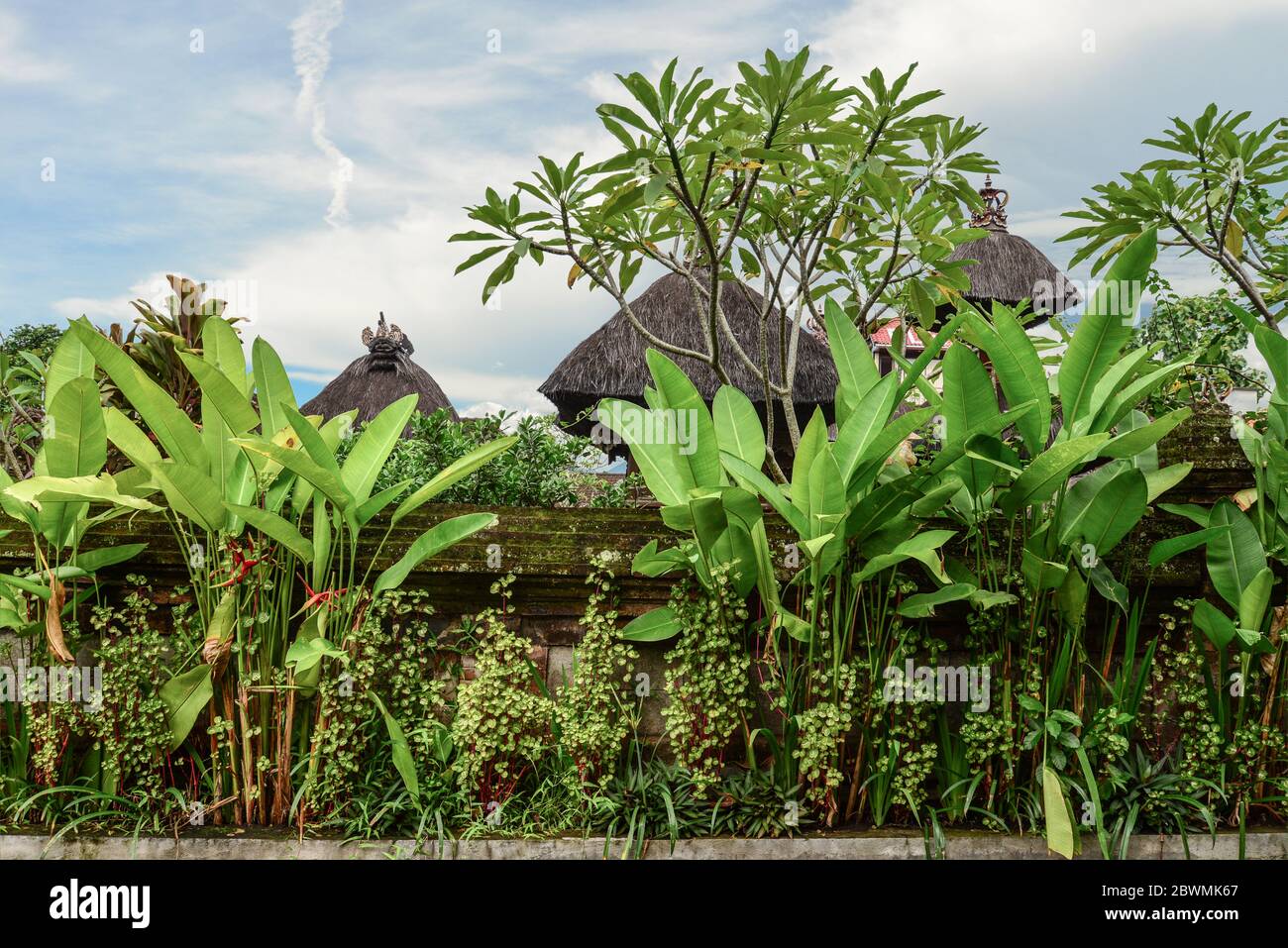 Road along ubud hi-res stock photography and images - Alamy