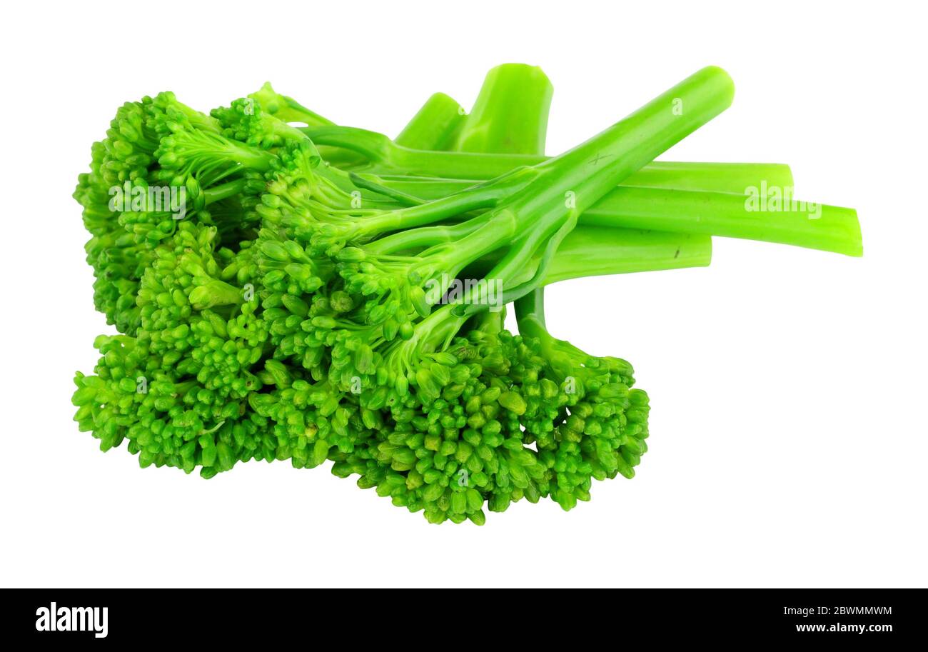 Steamed broccoli, white background hi-res stock photography and images ...