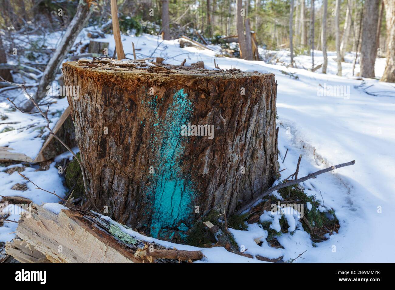 Kanc hi-res stock photography and images - Alamy