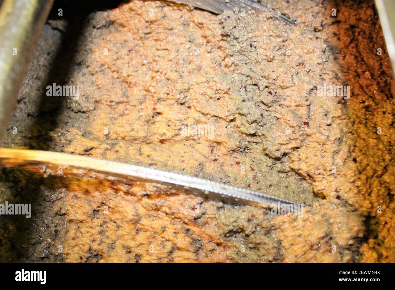 Greece, Attica, olive paste in malaxation tank during extra virgin ...