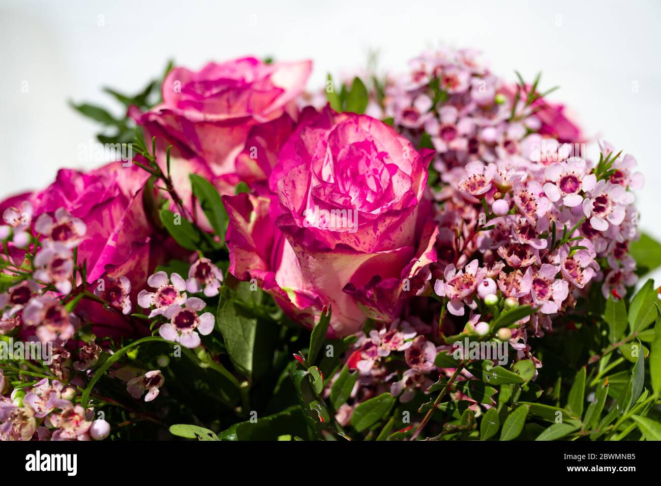 A decorative bouquet of red and white spotted roses with decorative ...