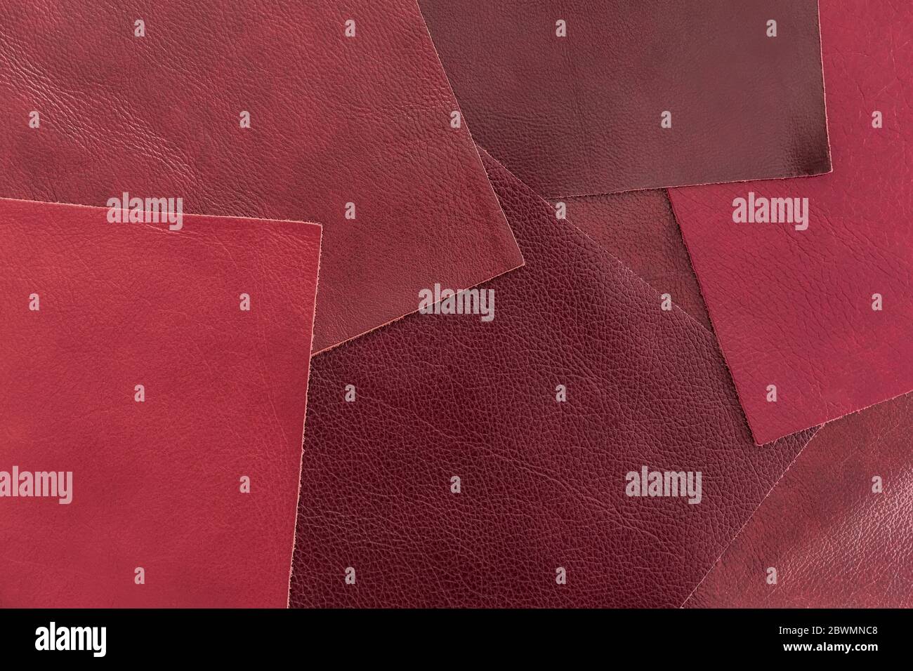 Set of multi-colored pieces of genuine leather of different textures ...