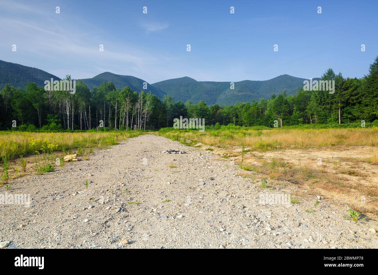 Old landing area of the Kanc 7 timber harvest project in the area of ...