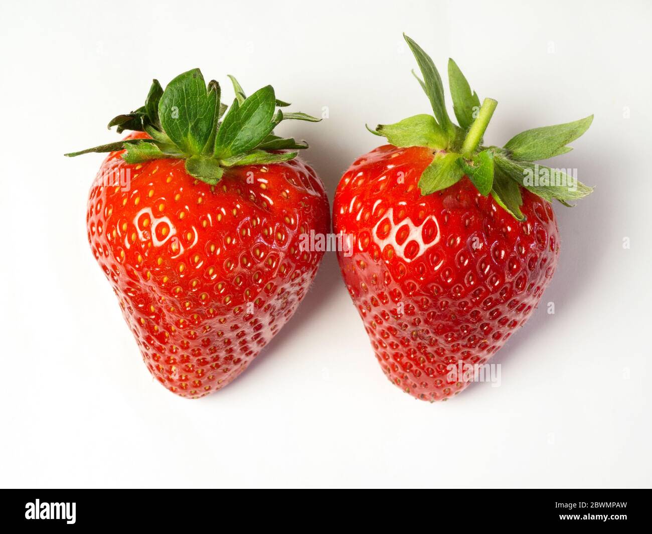 Two strawberries isolated on a white background with copy space Stock ...