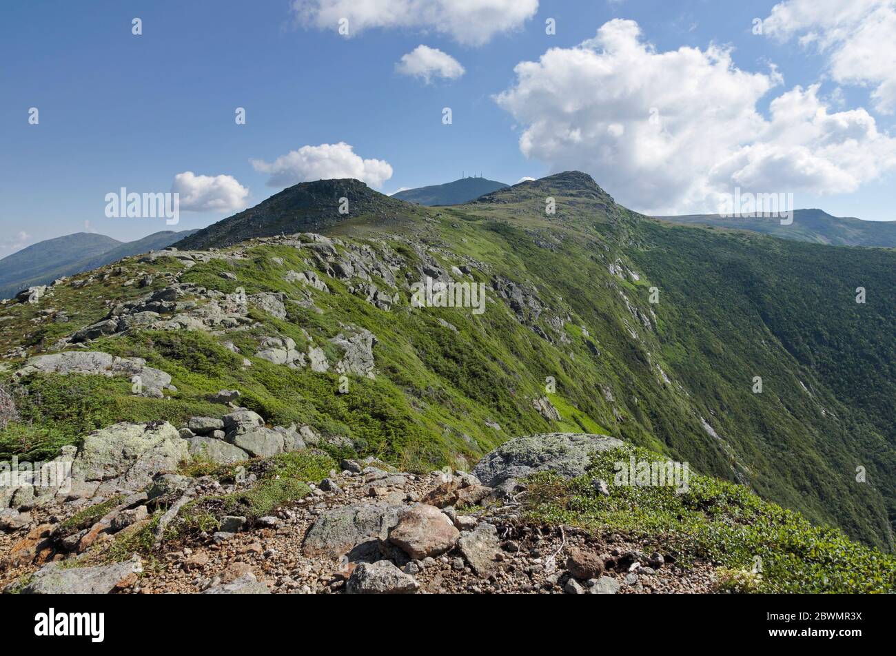 Mount Washington from the Appalachian Trail (Crawford Path) in the ...