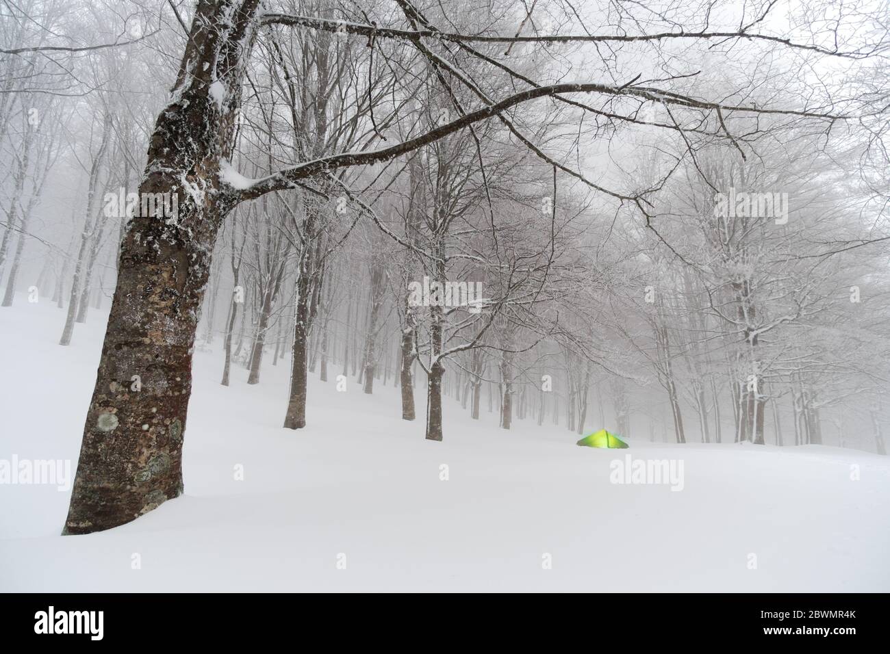 winter camp in snow forest of Nebrodi Mountains natural landmark in ...