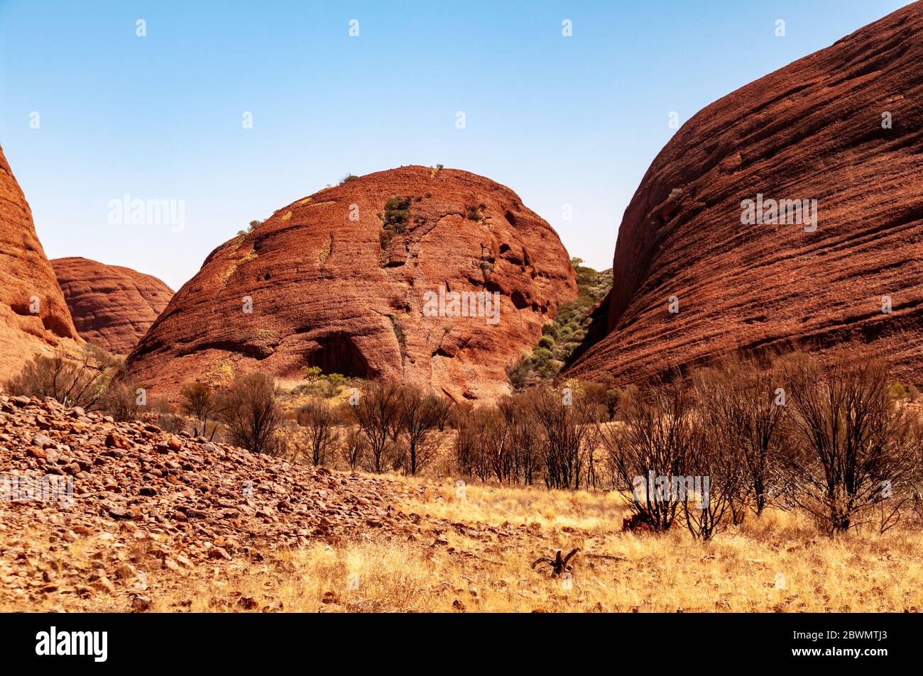 KATA TJUTA / THE OLGAS, NORTHERN TERRITORIES, AUSTRALIA Stock Photo - Alamy