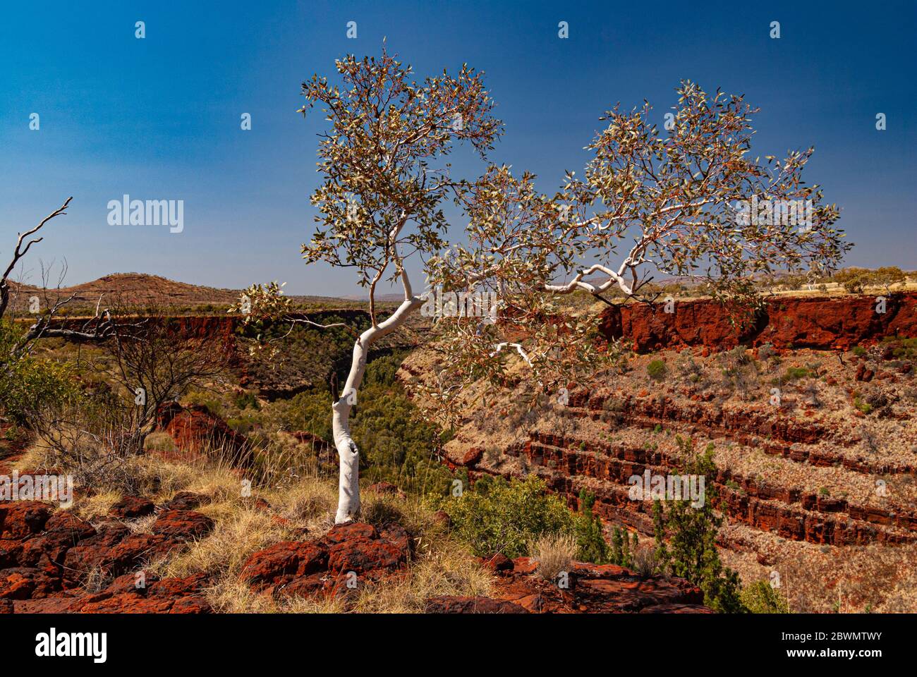 DALES GORGE, FORTESCUE RIVER, KARIJINI NATIONAL PARK, WESTERN AUSTRALIA ...