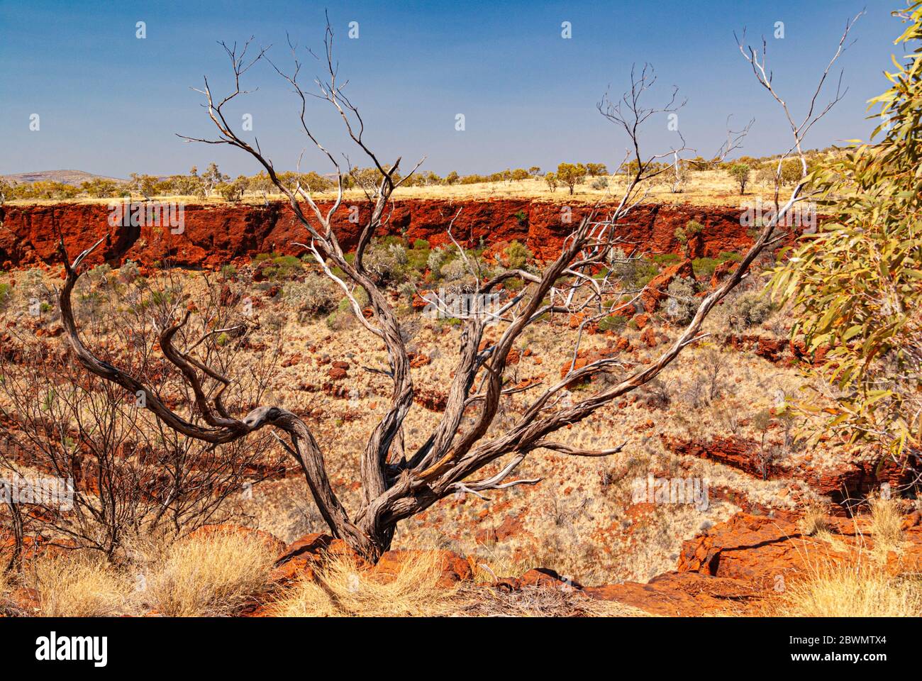 DALES GORGE, FORTESCUE RIVER, KARIJINI NATIONAL PARK, WESTERN AUSTRALIA ...