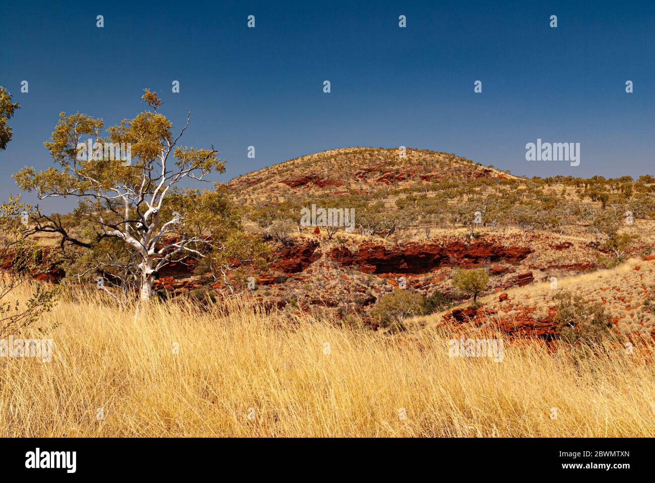 DALES GORGE, FORTESCUE RIVER, KARIJINI NATIONAL PARK, WESTERN AUSTRALIA ...