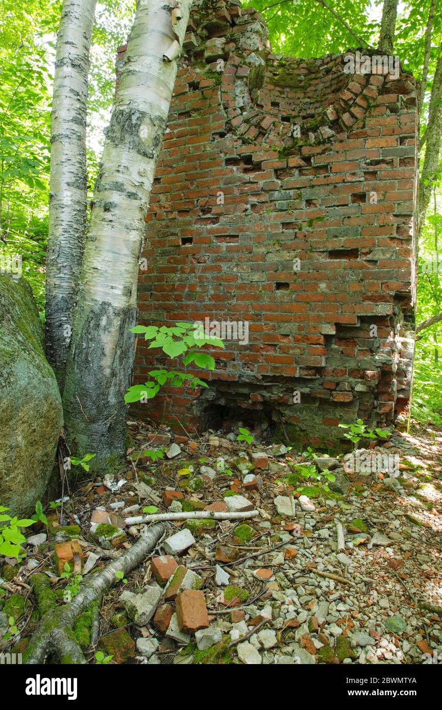 Remnants of the powerhouse at the abandoned logging village in ...