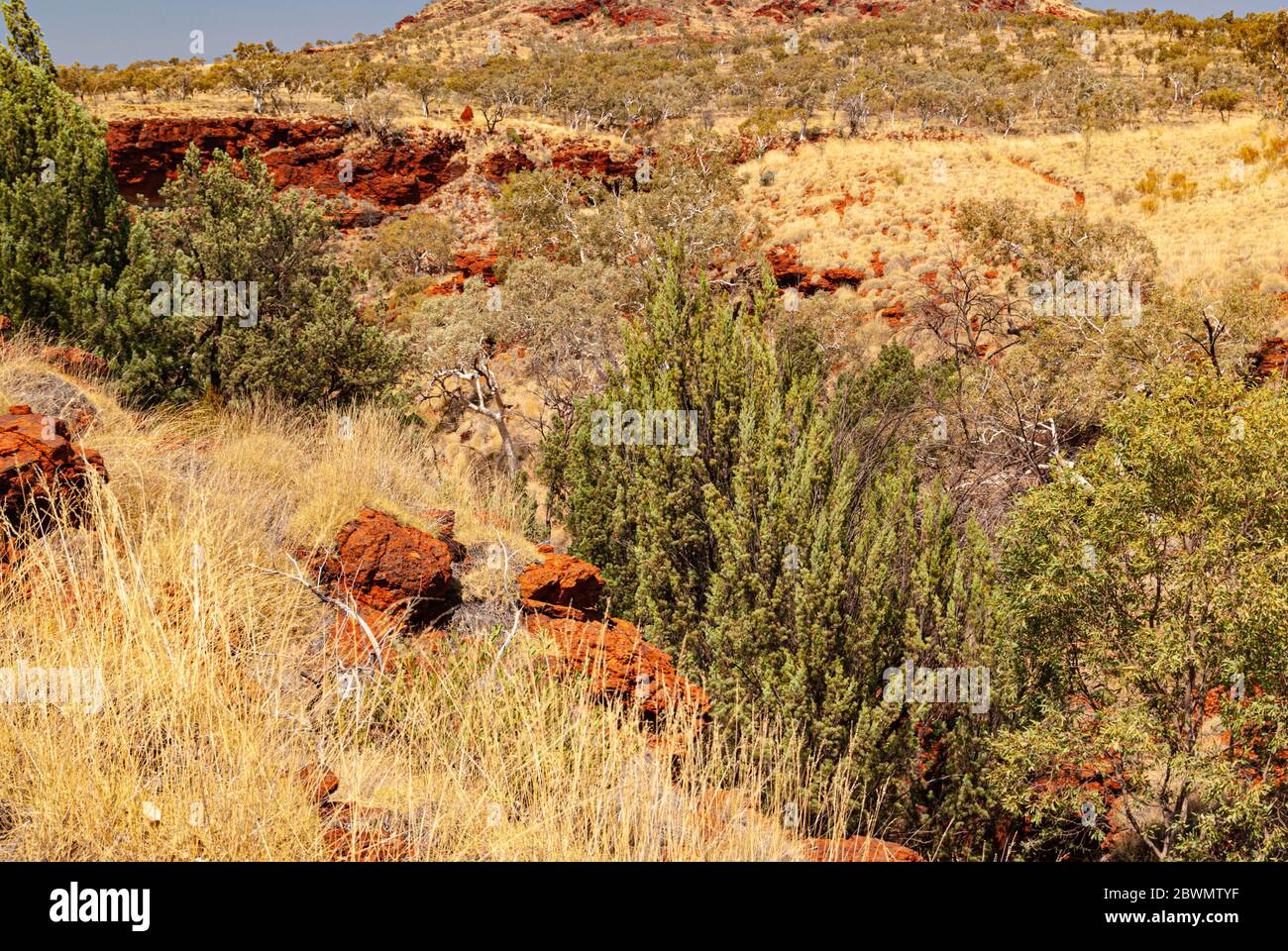 DALES GORGE, FORTESCUE RIVER, KARIJINI NATIONAL PARK, WESTERN AUSTRALIA ...