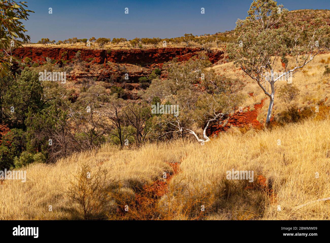 DALES GORGE, FORTESCUE RIVER, KARIJINI NATIONAL PARK, WESTERN AUSTRALIA ...