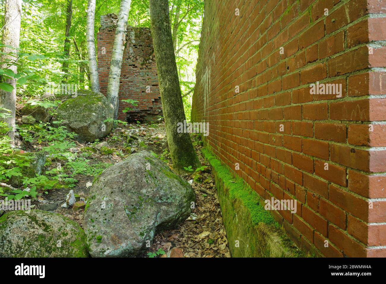 Remnants of the powerhouse at the abandoned logging village in ...