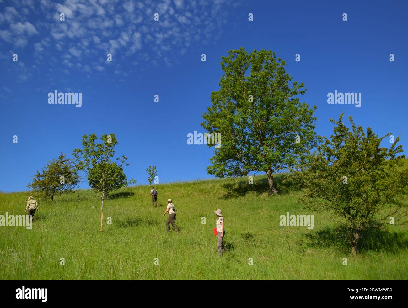 Conservation ranger europe hi-res stock photography and images - Alamy